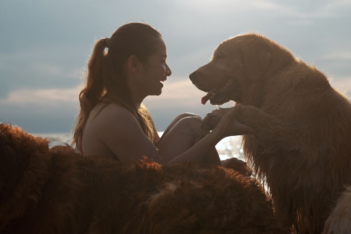 Unconditional Love: How Dogs Teach Us About Compassion and Empathy ...