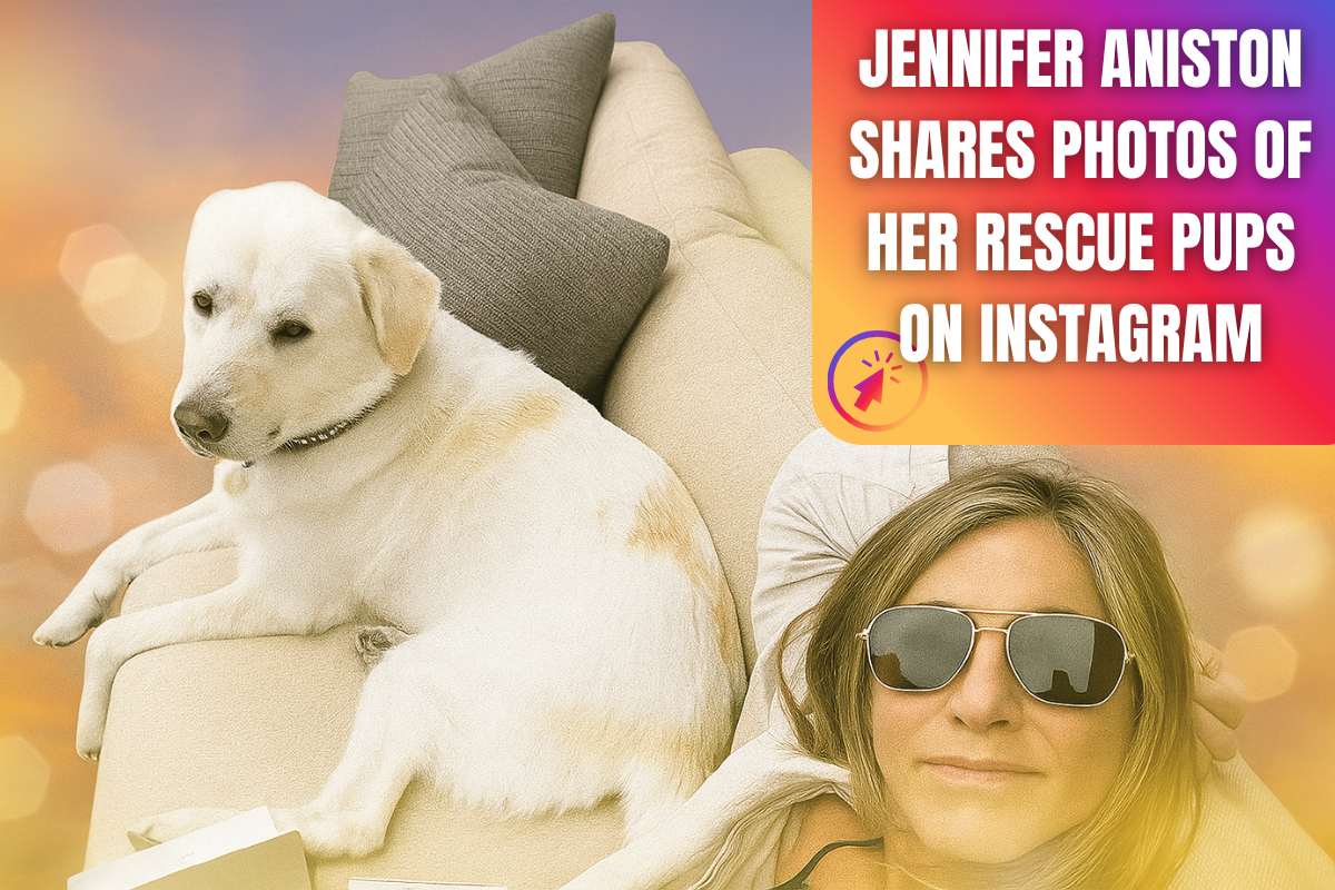 Jennifer Aniston's Monday Photo Dump Features Her Adorable Rescue Dogs ...