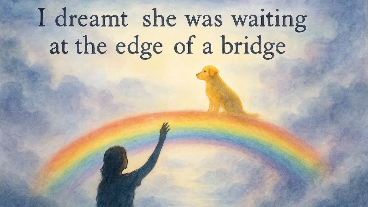 I Dreamed She Was Waiting at the Edge of a Bridge - The Animal Cave